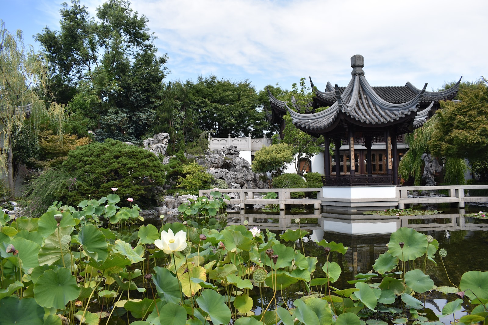 Chinese garden - MyBlooog
